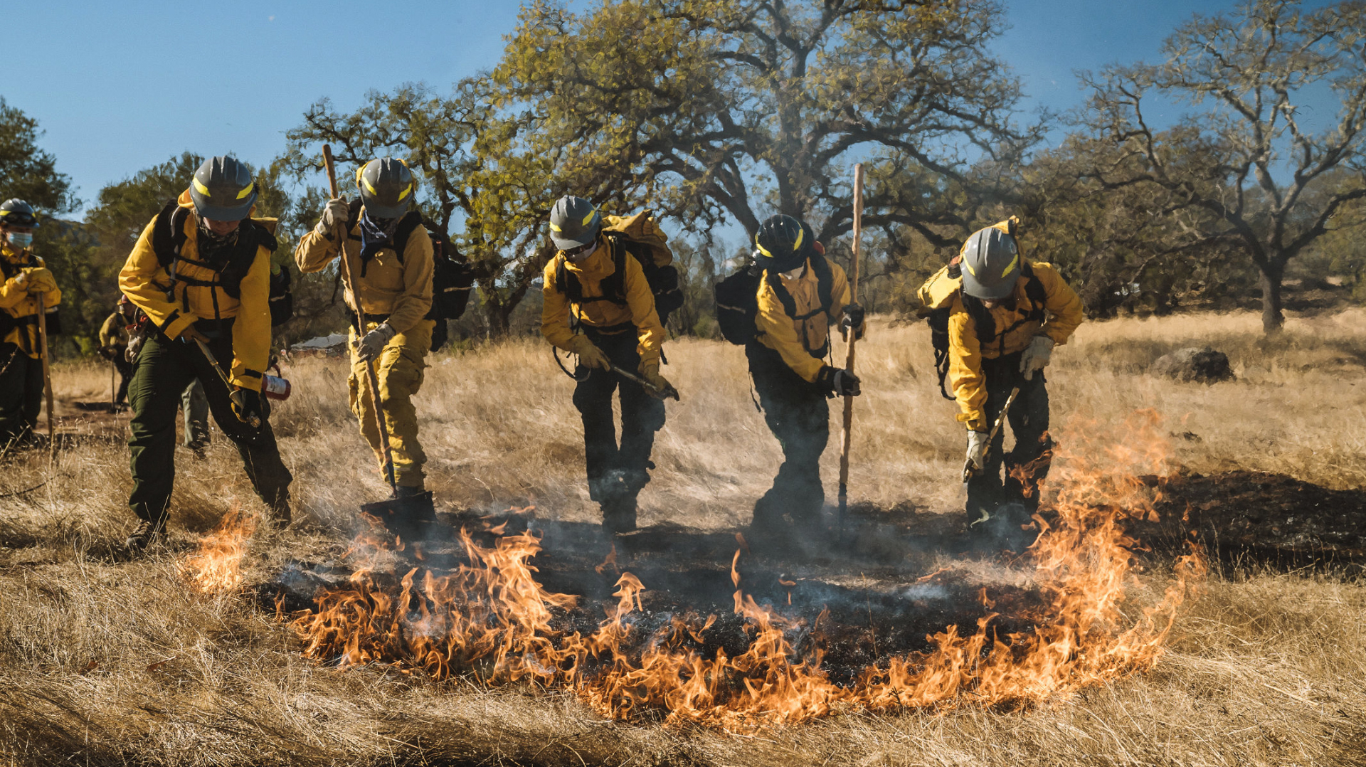 Prescribed Fire Trainings - All Hands Ecology