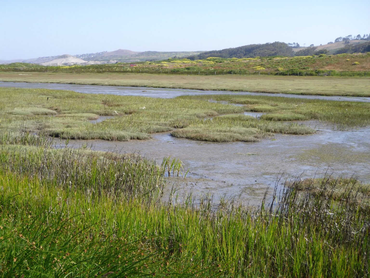 Martin Griffin Preserve - All Hands Ecology