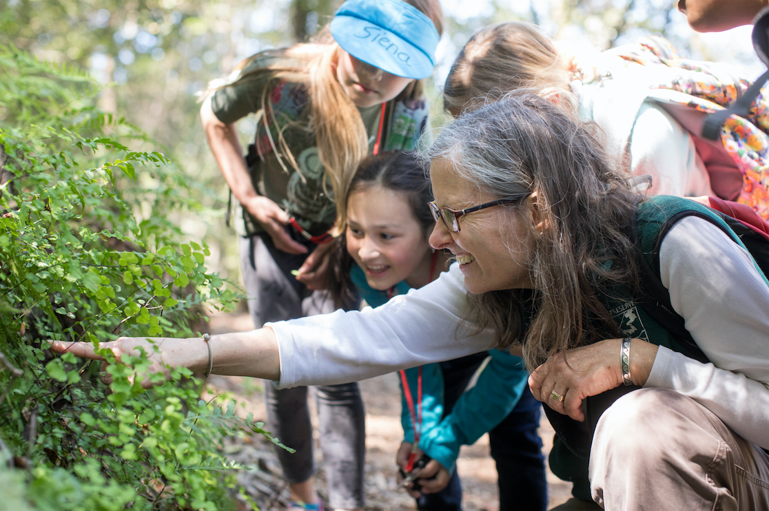 Mission, Vision, Values - All Hands Ecology